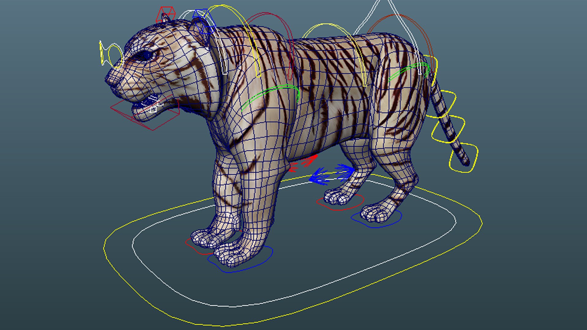 3D White Tiger - TurboSquid 2191451