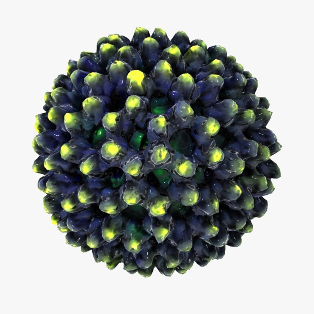 Virus Dna Biology 3d Model