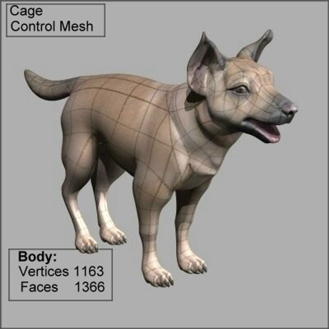 Dog Canine 3d Model