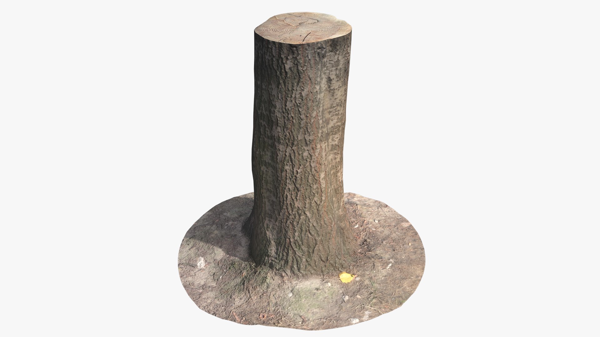 Trunk scan model - TurboSquid 1606122