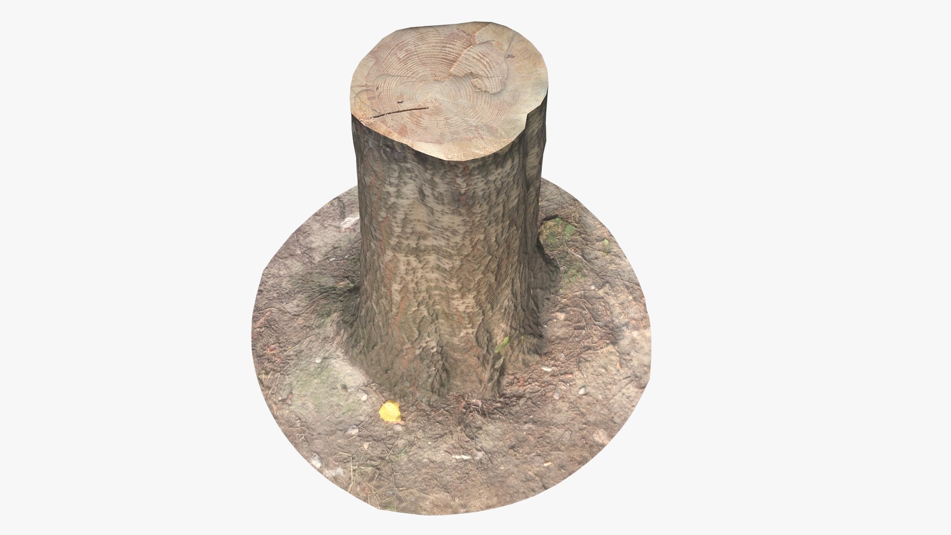 Trunk scan model - TurboSquid 1606122