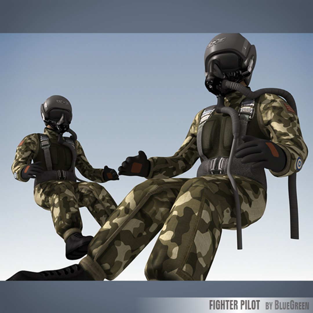 Fighter Pilot 3d Model