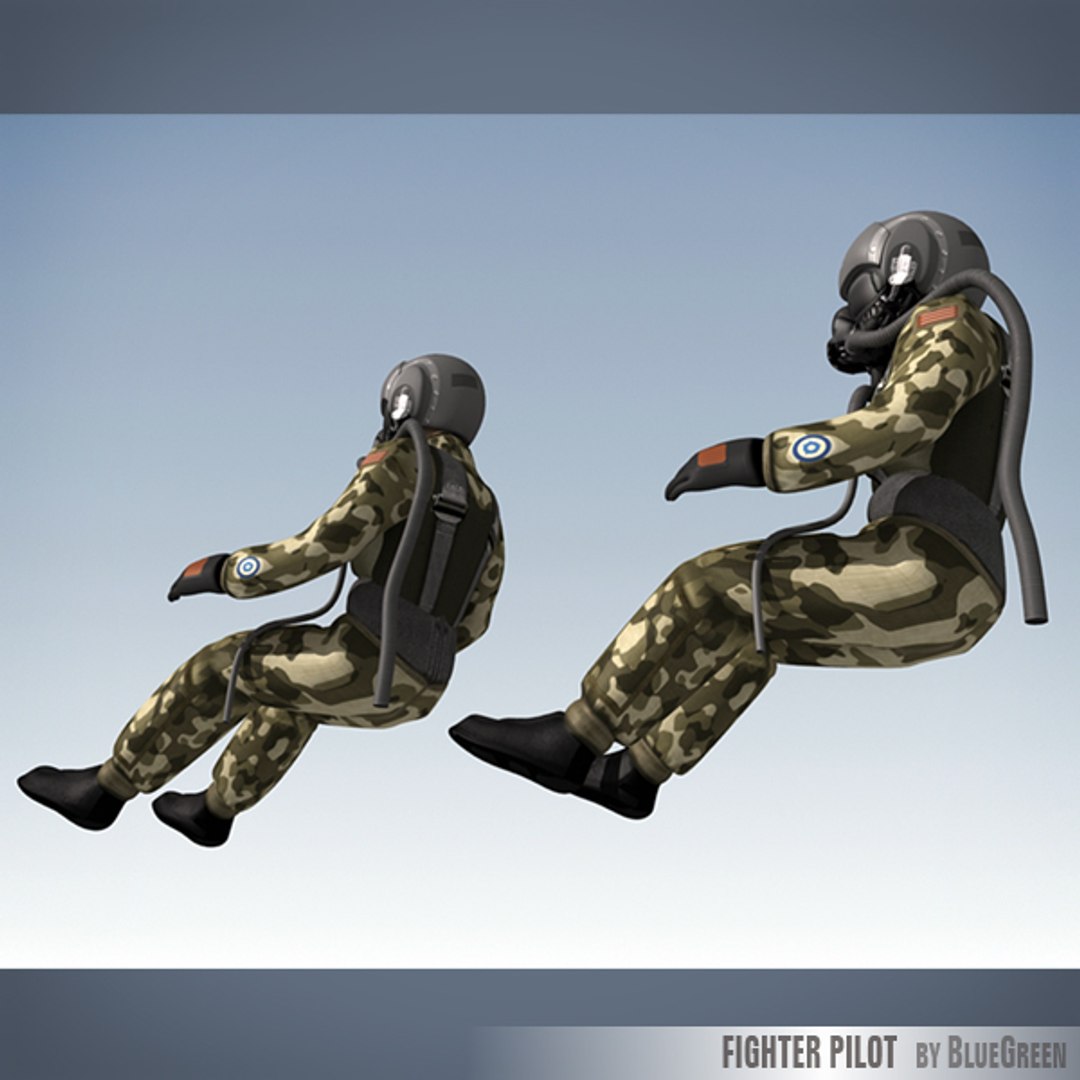 Fighter Pilot 3d Model