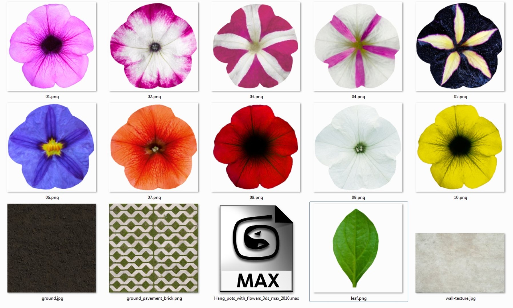 flower pot max
