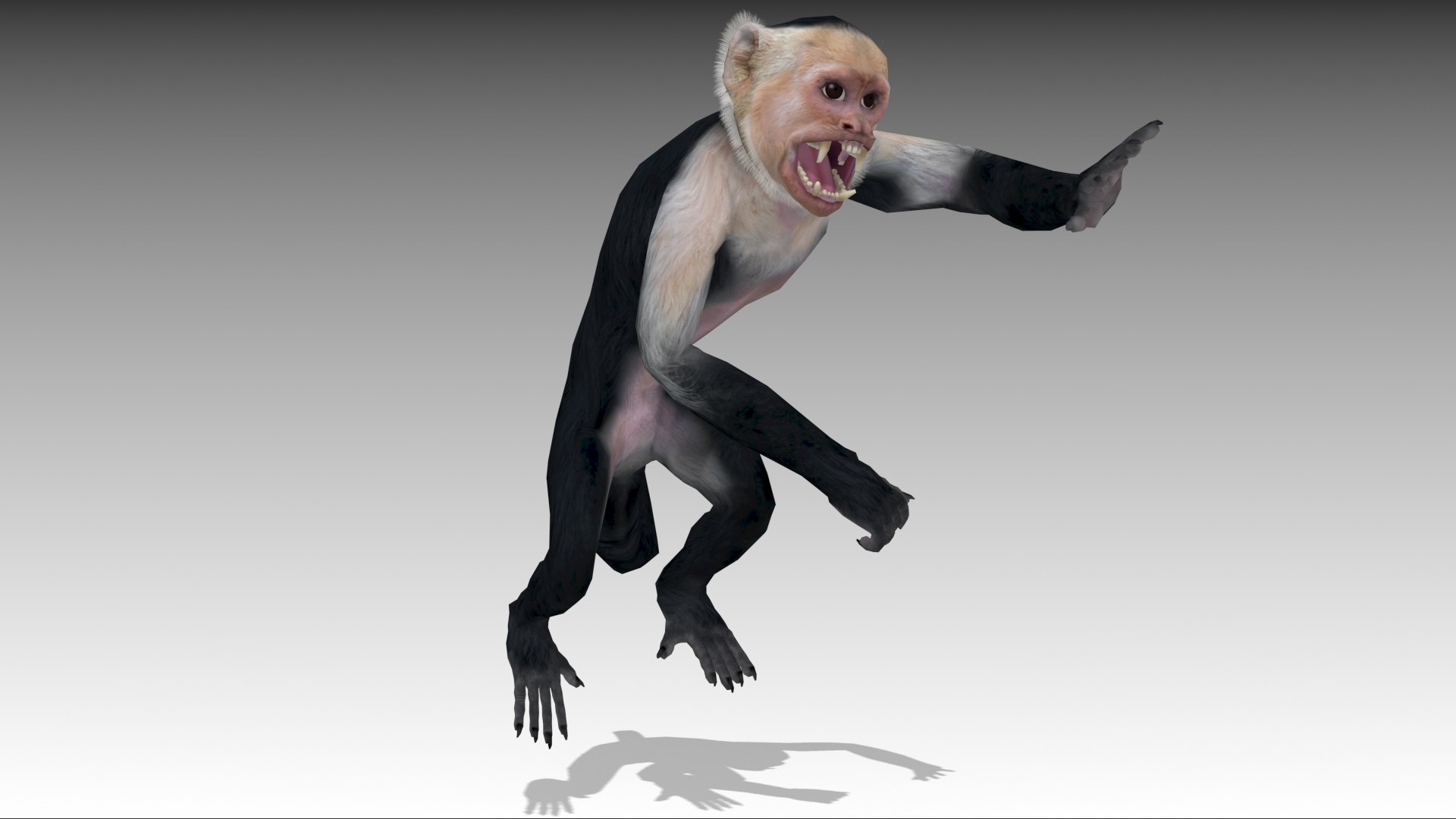 3D Monkey model - TurboSquid 1872267