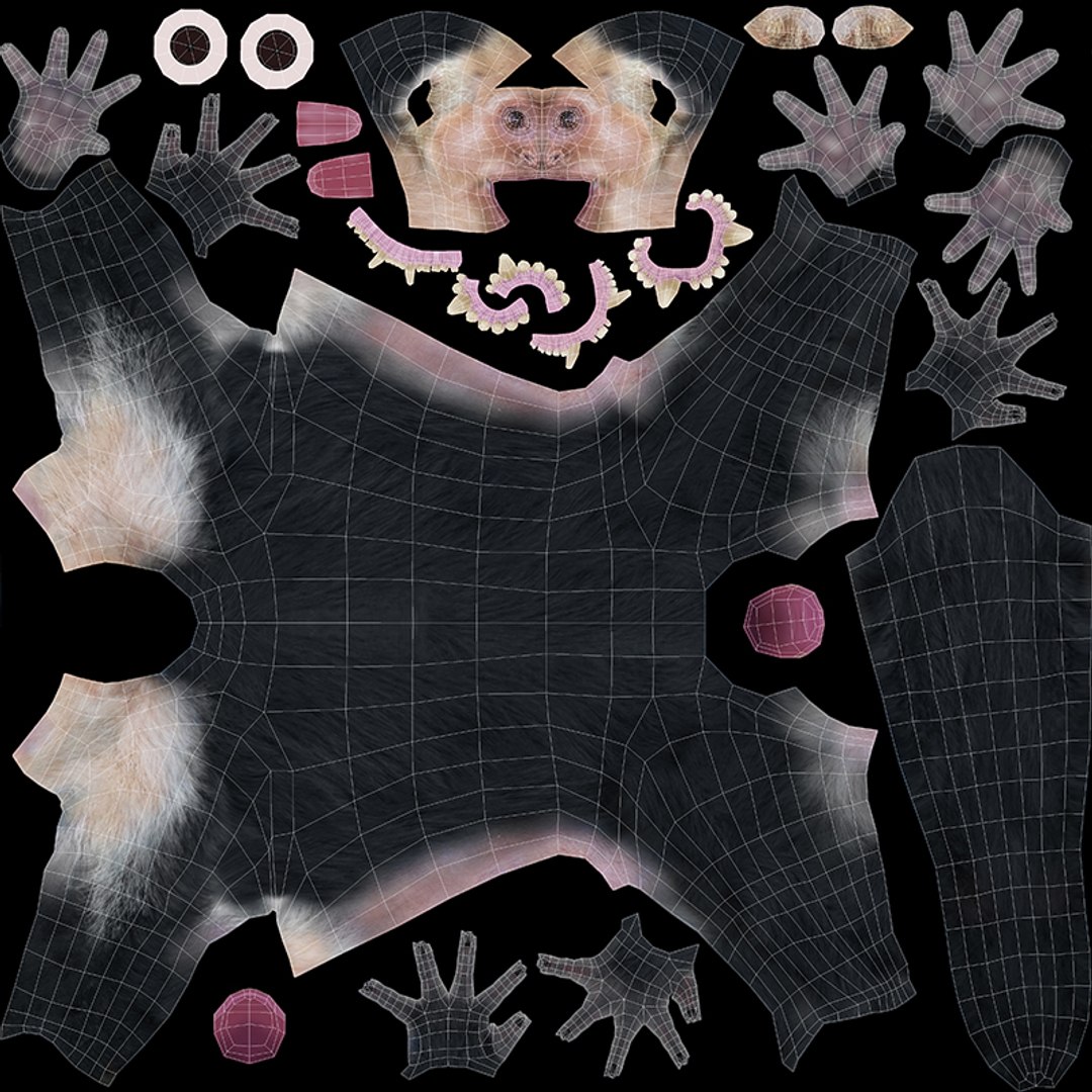 3D Monkey model - TurboSquid 1872267
