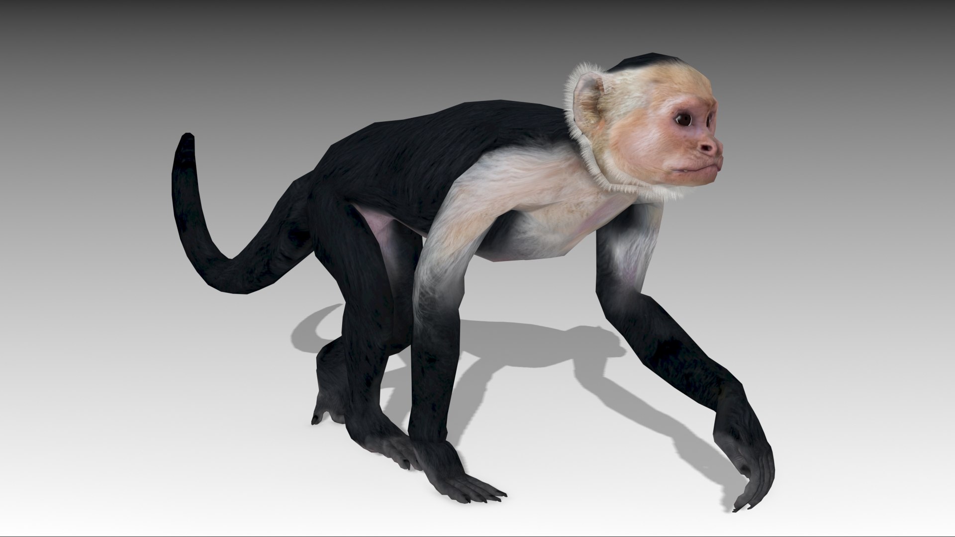 3D Monkey model - TurboSquid 1872267
