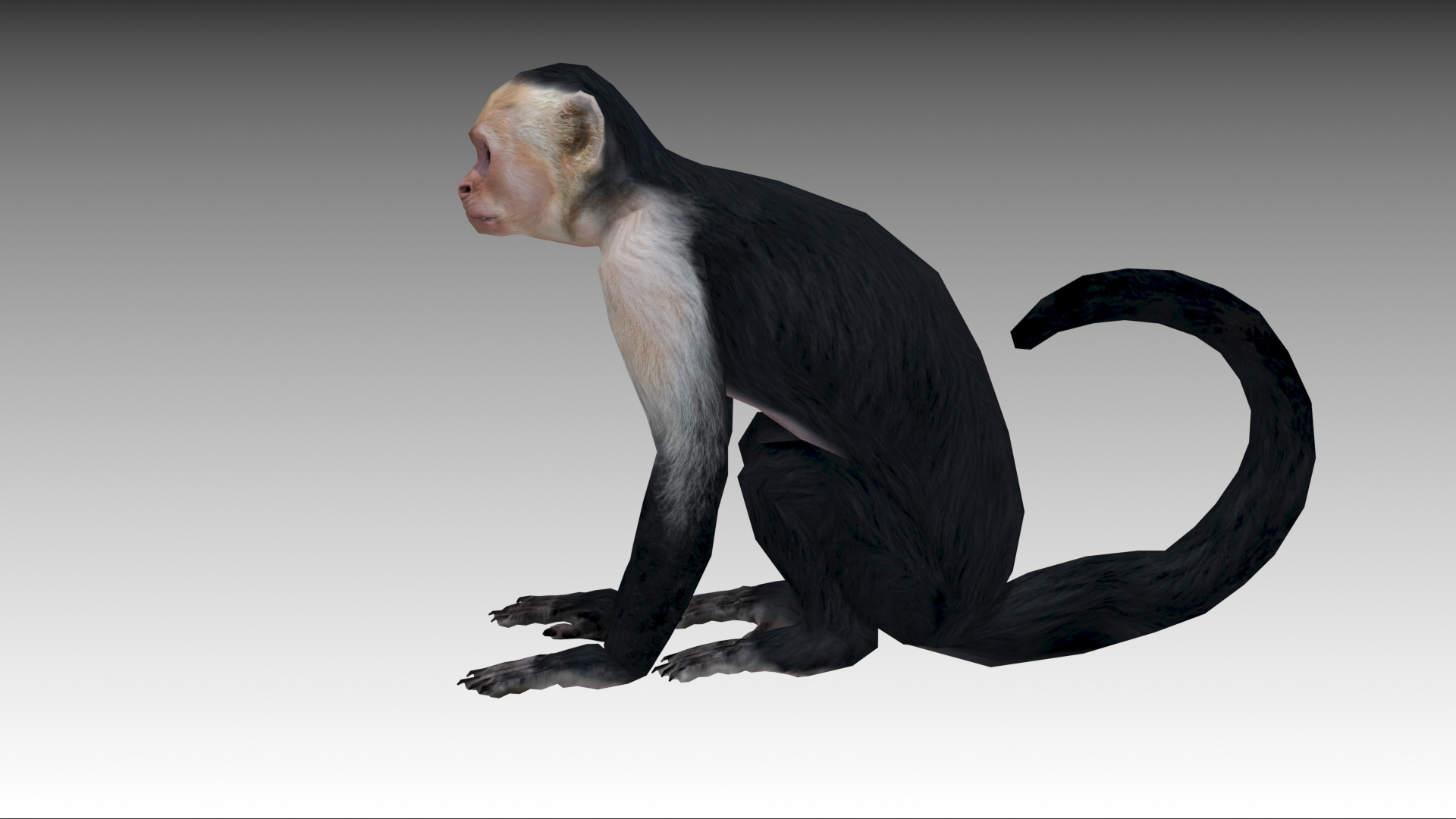 3D Monkey model - TurboSquid 1872267