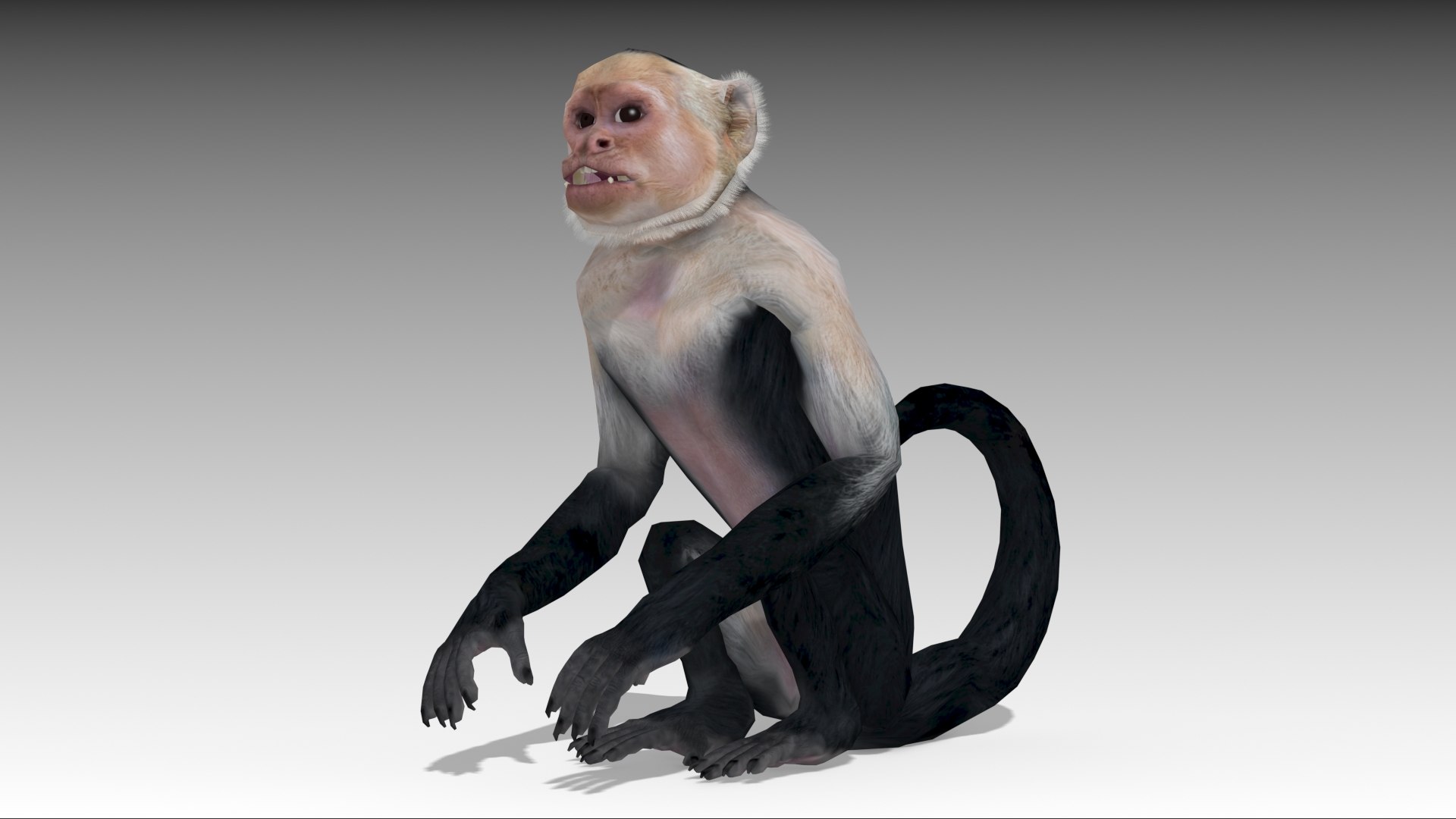 3D Monkey model - TurboSquid 1872267