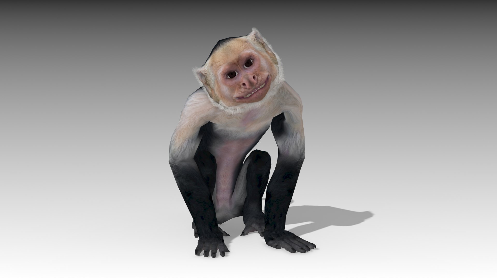 3D Monkey model - TurboSquid 1872267