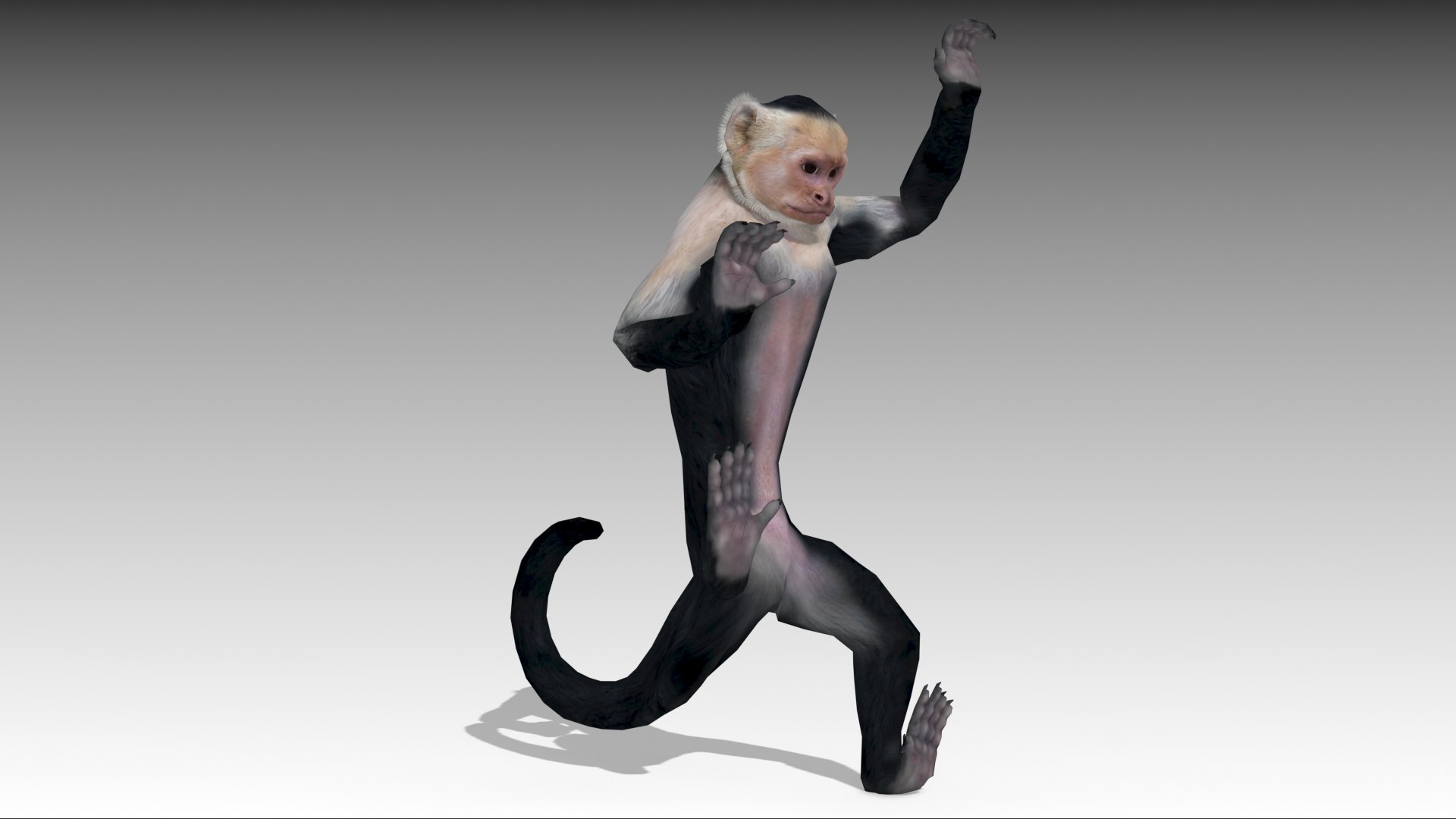 3D Monkey model - TurboSquid 1872267