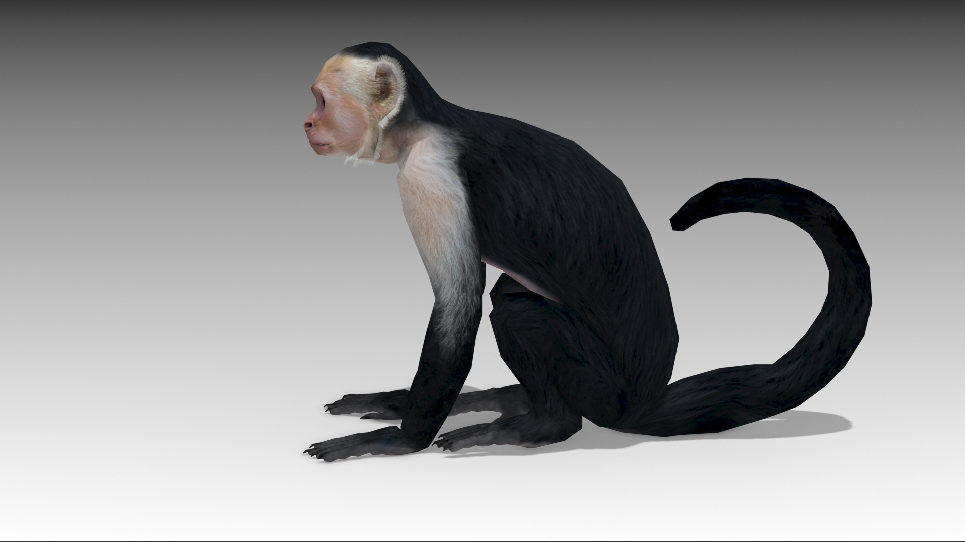 3D Monkey model - TurboSquid 1872267