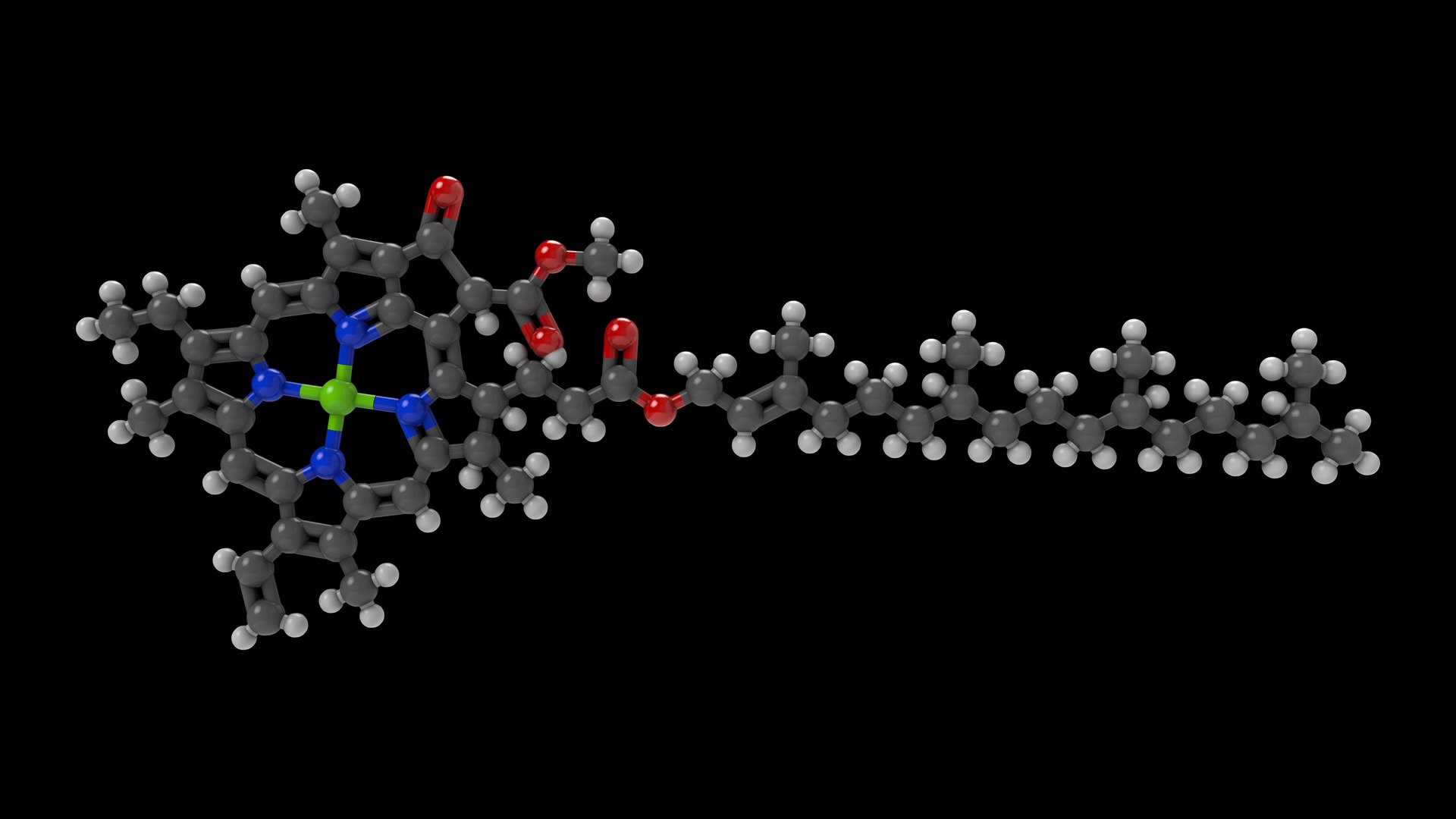 Chlorophyll Molecule Structure 3D Model - TurboSquid 2199148