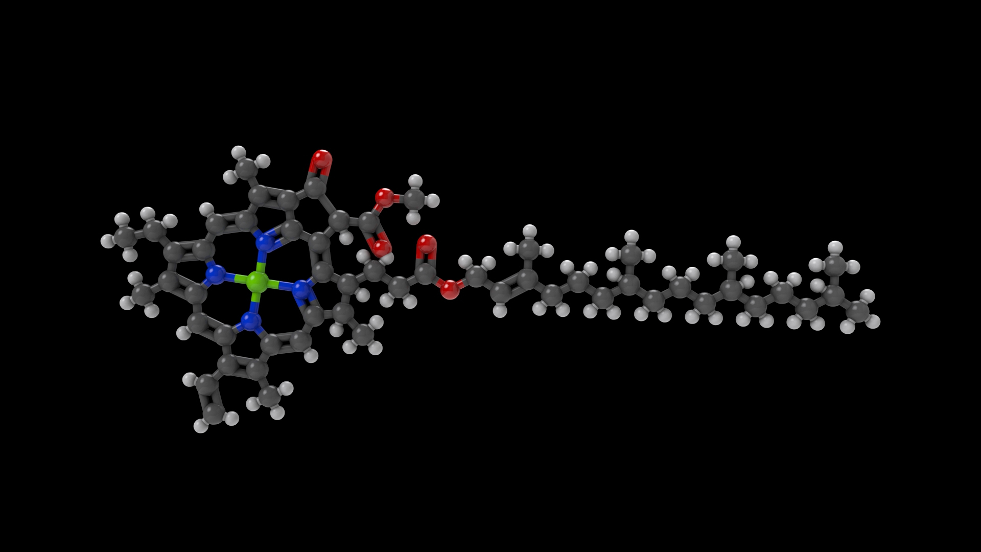 chlorophyll structure 3d