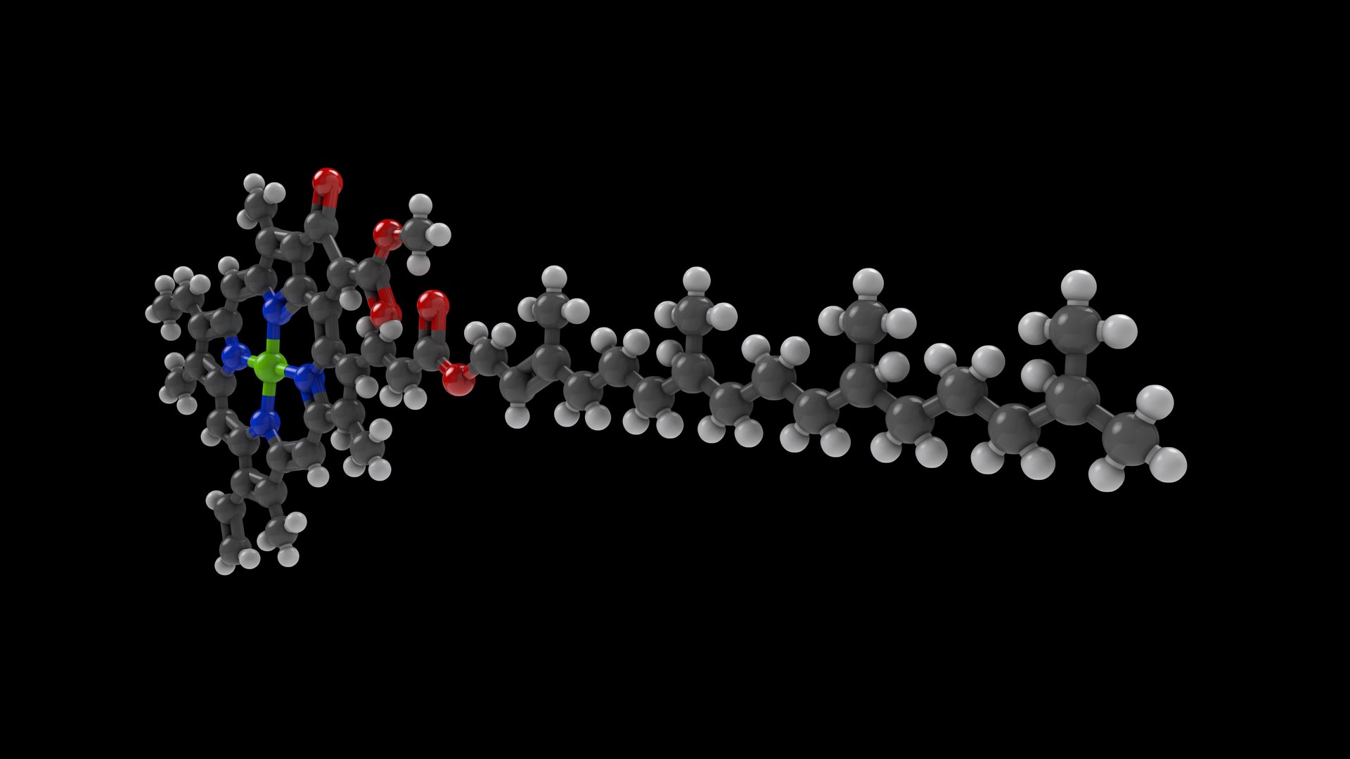 Chlorophyll Molecule Structure 3D Model - TurboSquid 2199148