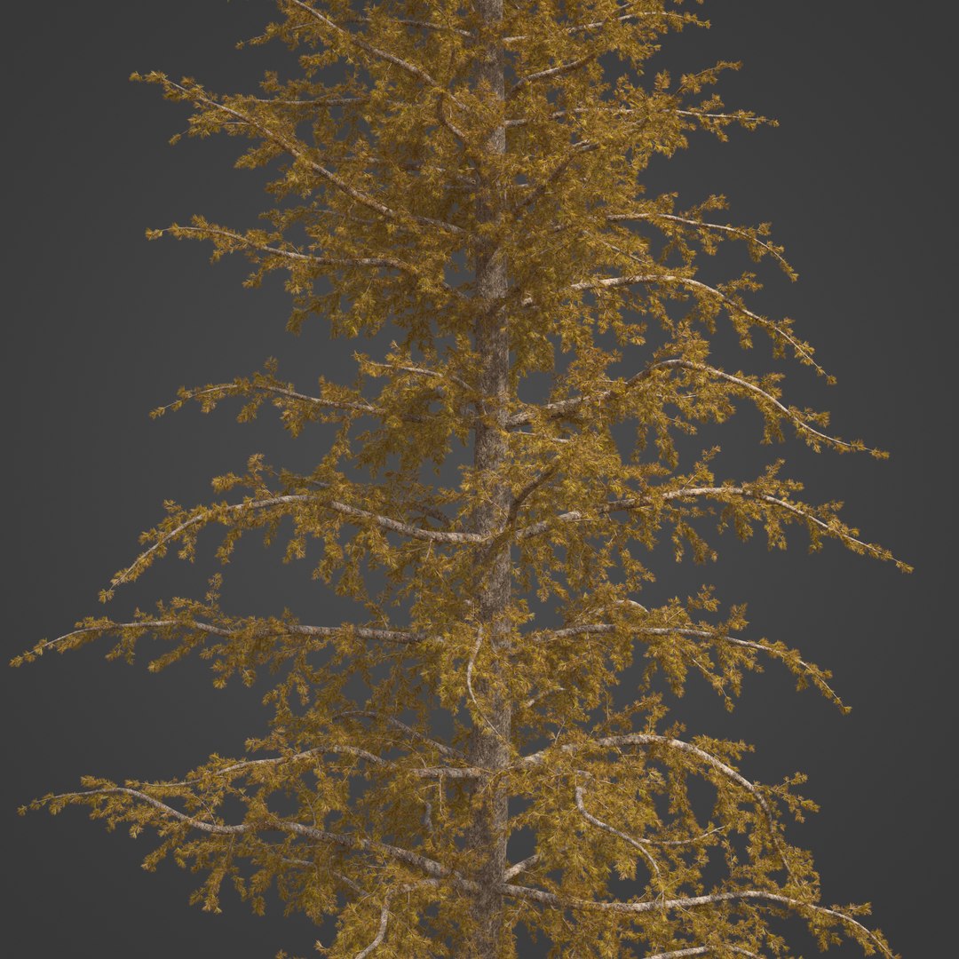 2021 PBR Western Larch Collection - Larix Occidentalis 3D Model ...