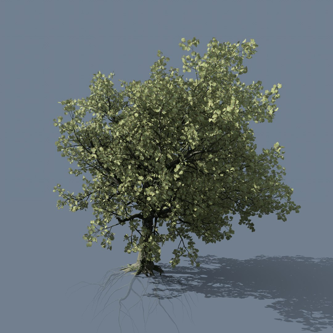 3D model autumn maple tree - TurboSquid 1437720