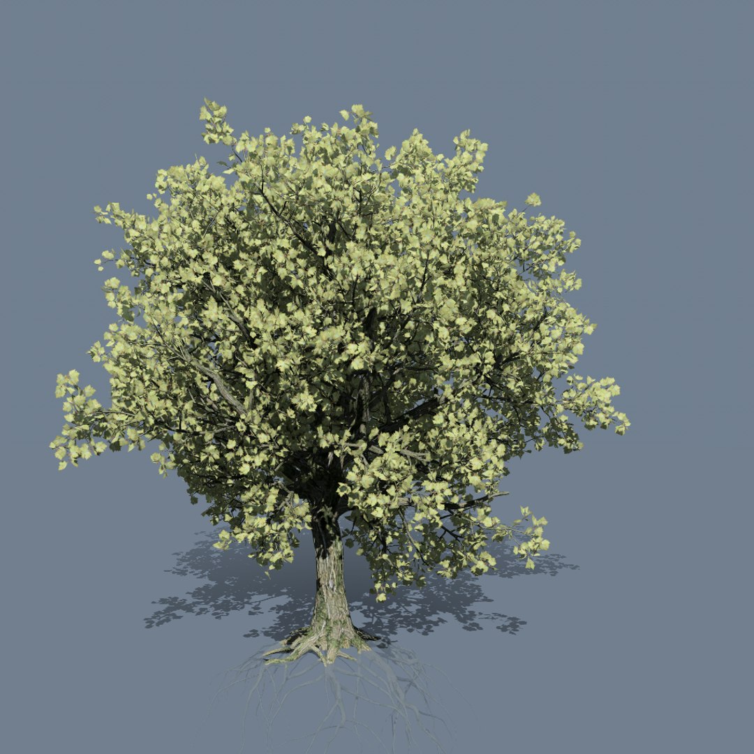 3D model autumn maple tree - TurboSquid 1437720