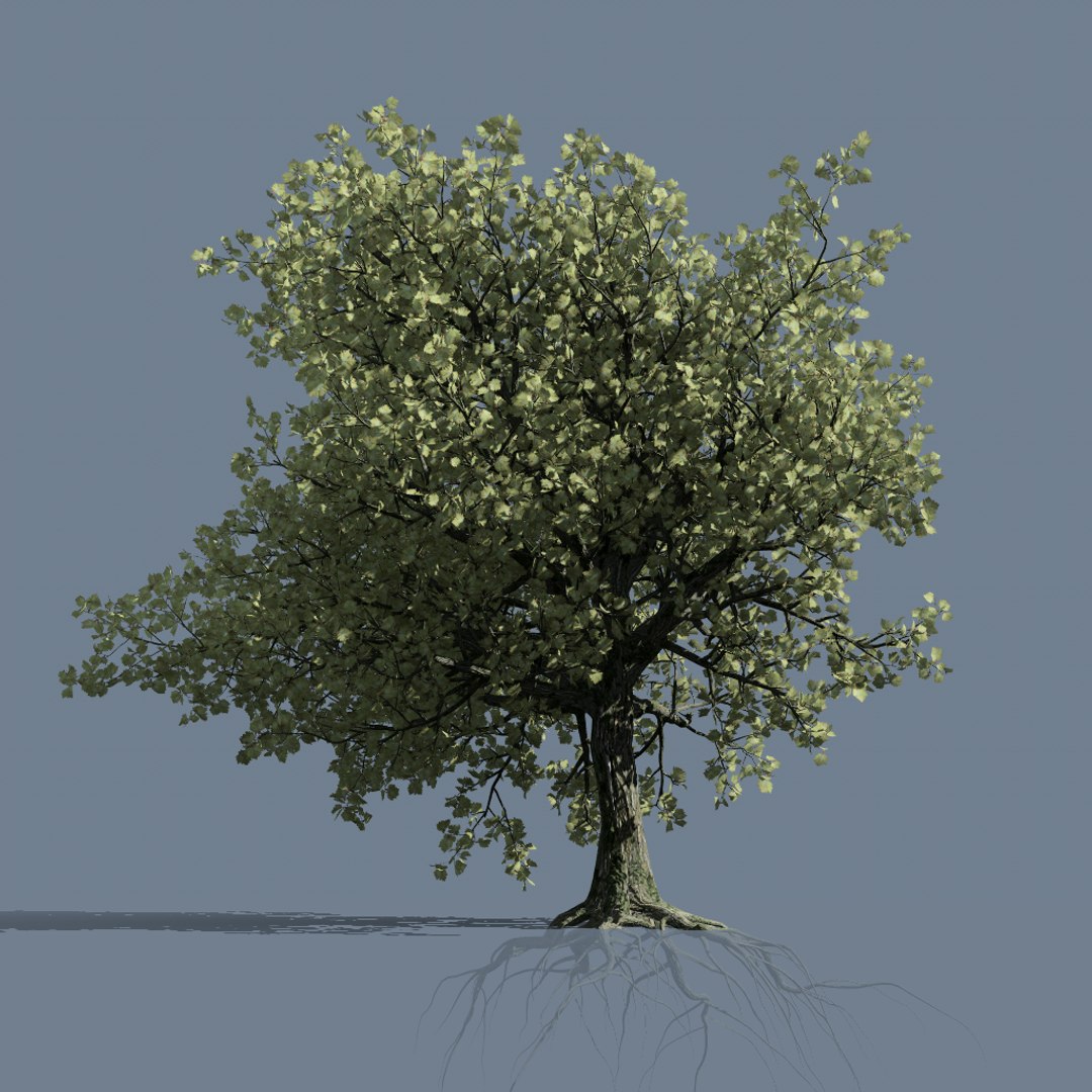 3D model autumn maple tree - TurboSquid 1437720