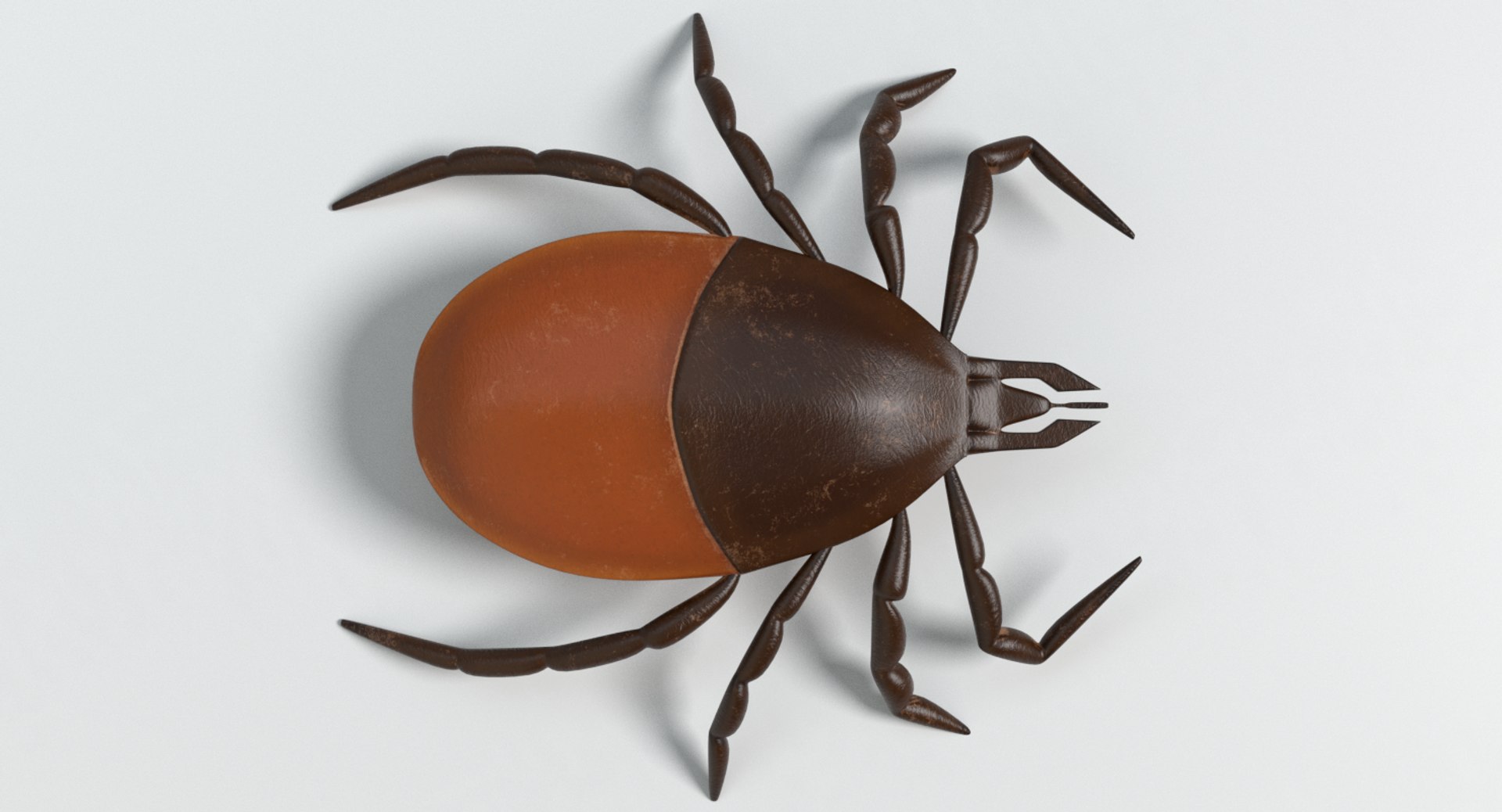 3D Tick - TurboSquid 1178638