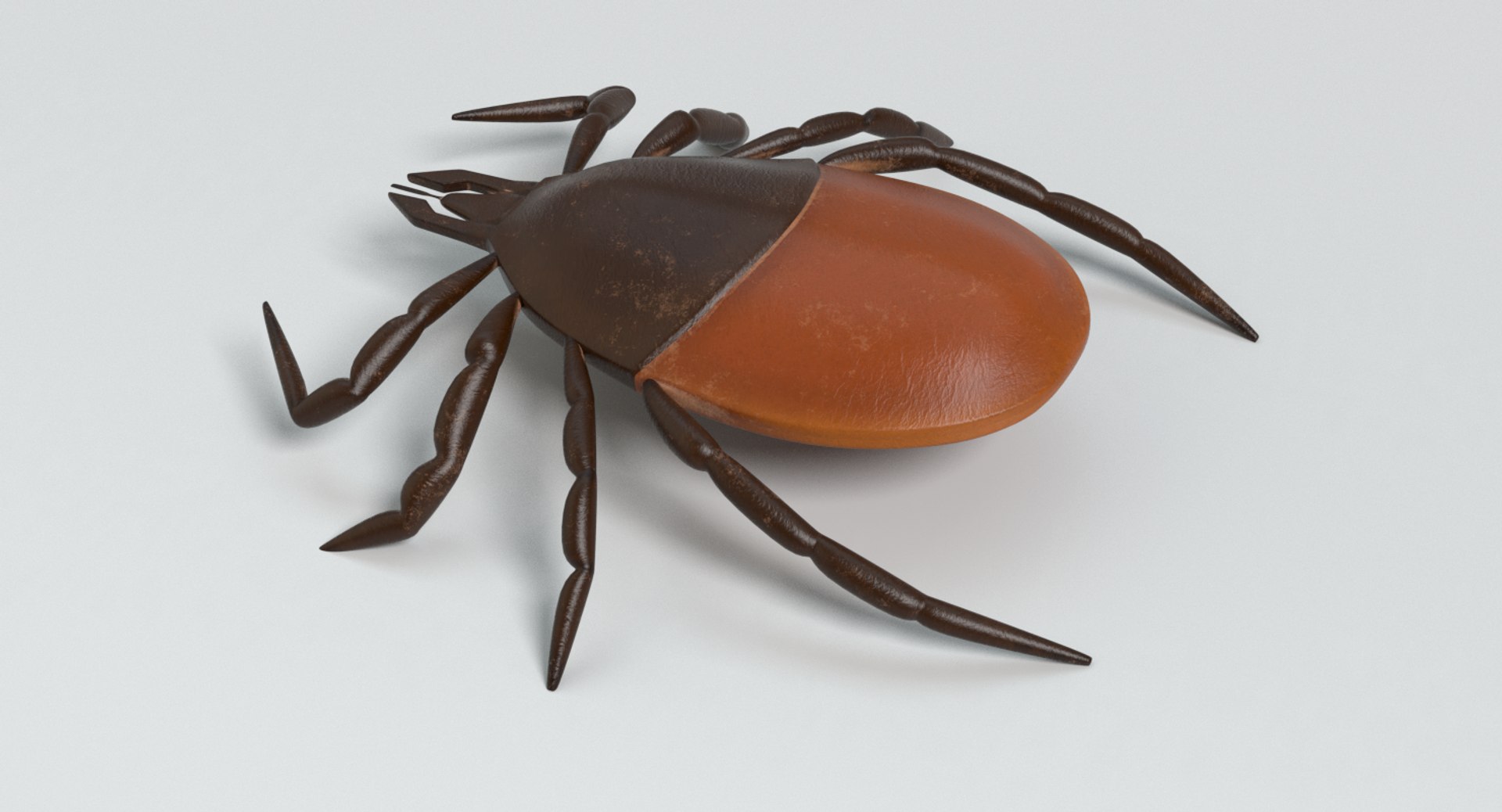 3D Tick - TurboSquid 1178638