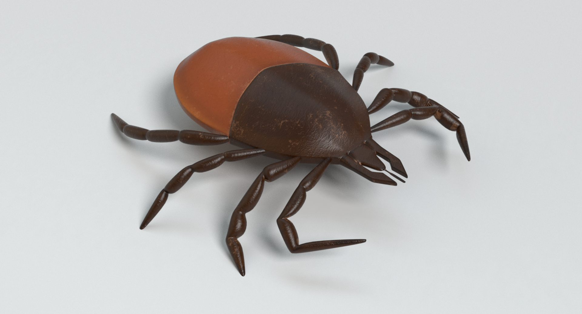 3D Tick - TurboSquid 1178638