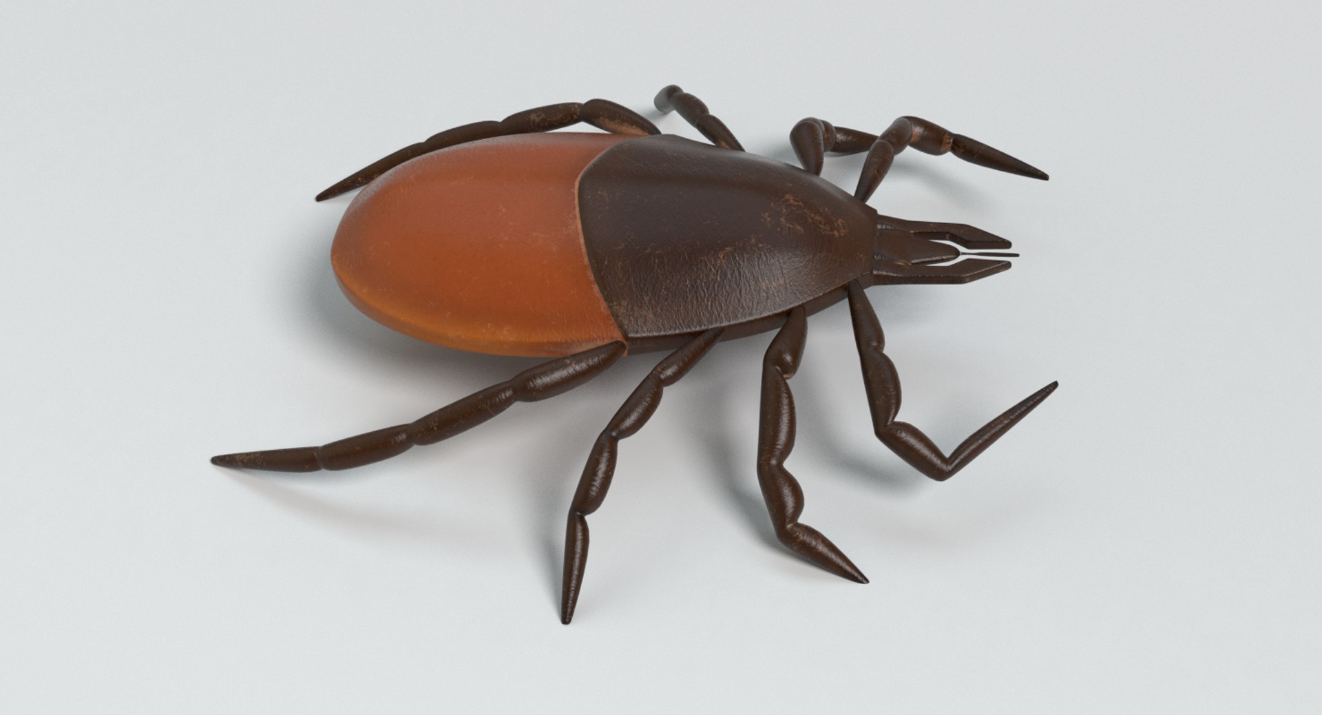 3D Tick - TurboSquid 1178638