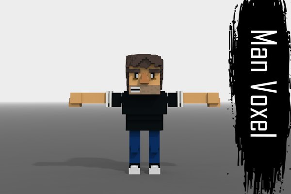 3D model voxel man - TurboSquid 1309054