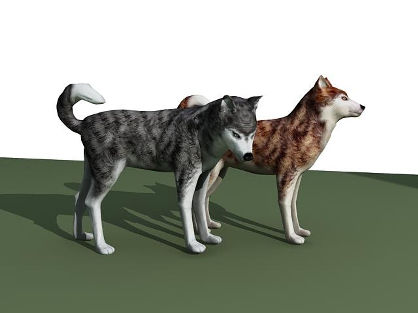 3d Model Sled Sleddog Dog