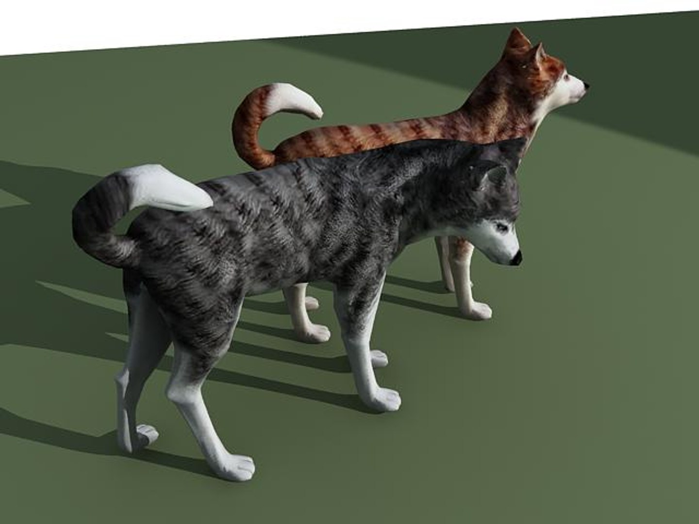 3d Model Sled Sleddog Dog