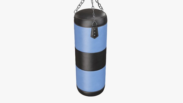 3D model boxing bag ceiling - TurboSquid 1651164