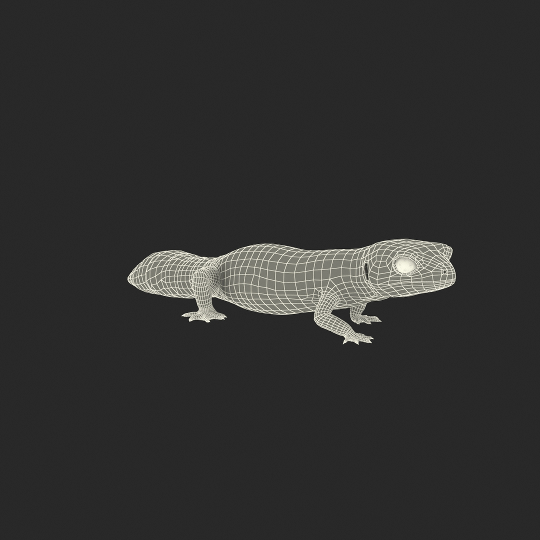 3d leopard gecko pose modeled model