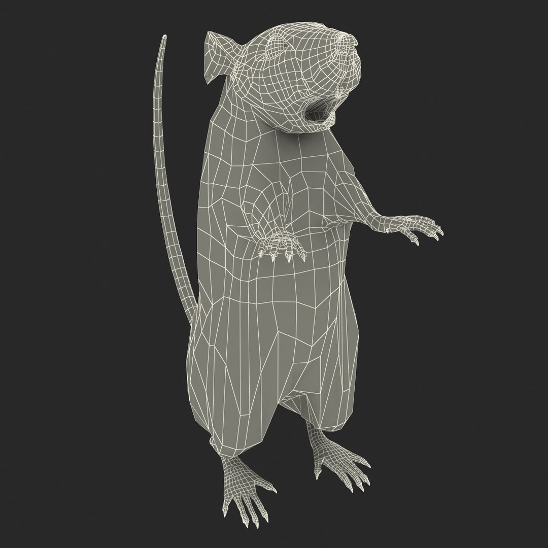 3d model of rat pose 3 fur