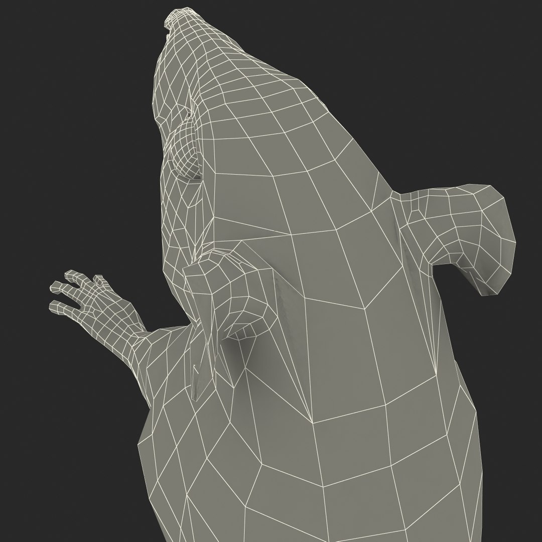 3d model of rat pose 3 fur