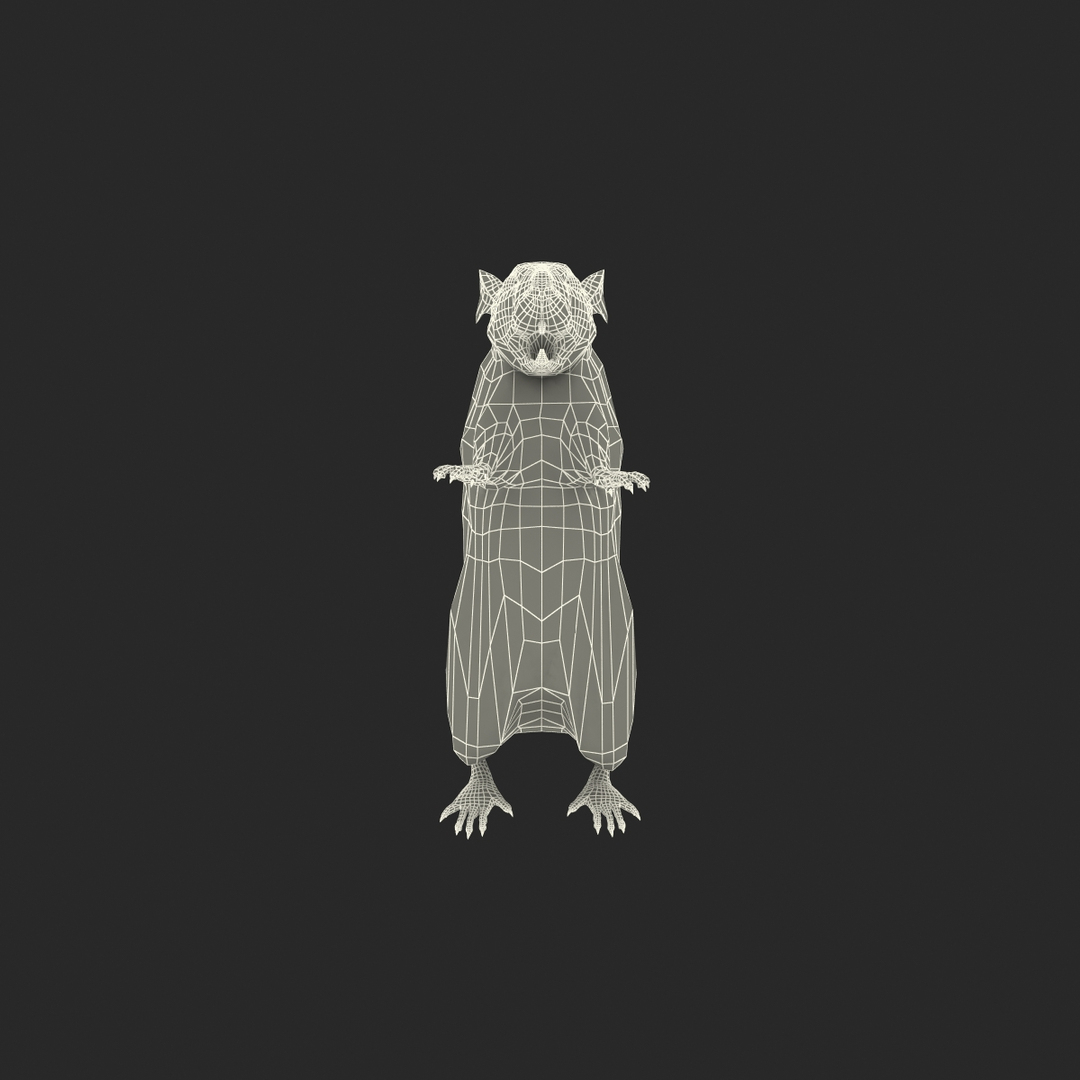 3d model of rat pose 3 fur