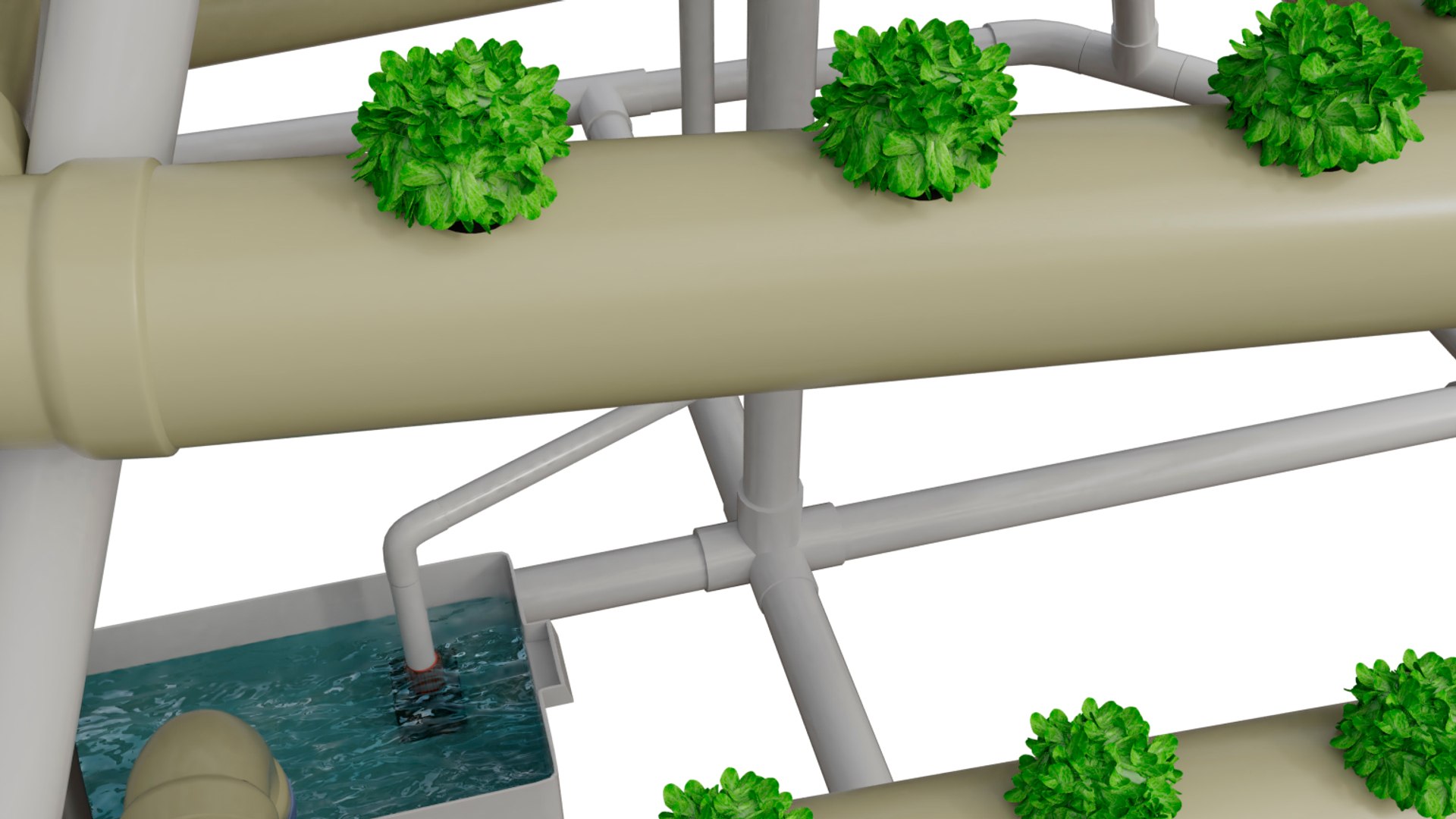 Hydroponic 3D Model - TurboSquid 1467408