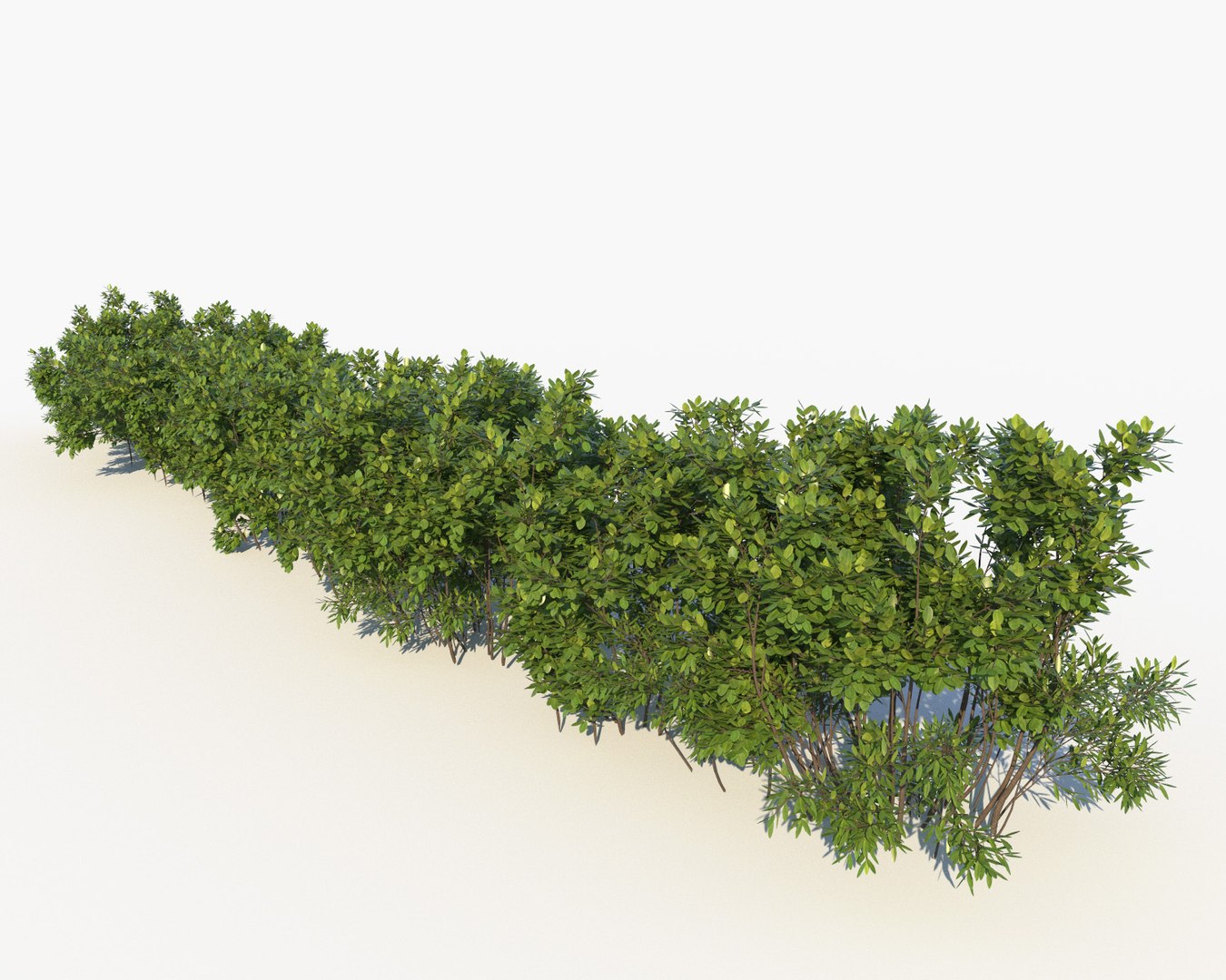 3d Model Cluster Bushes