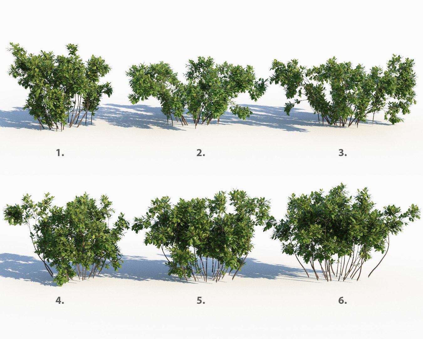 3d Model Cluster Bushes
