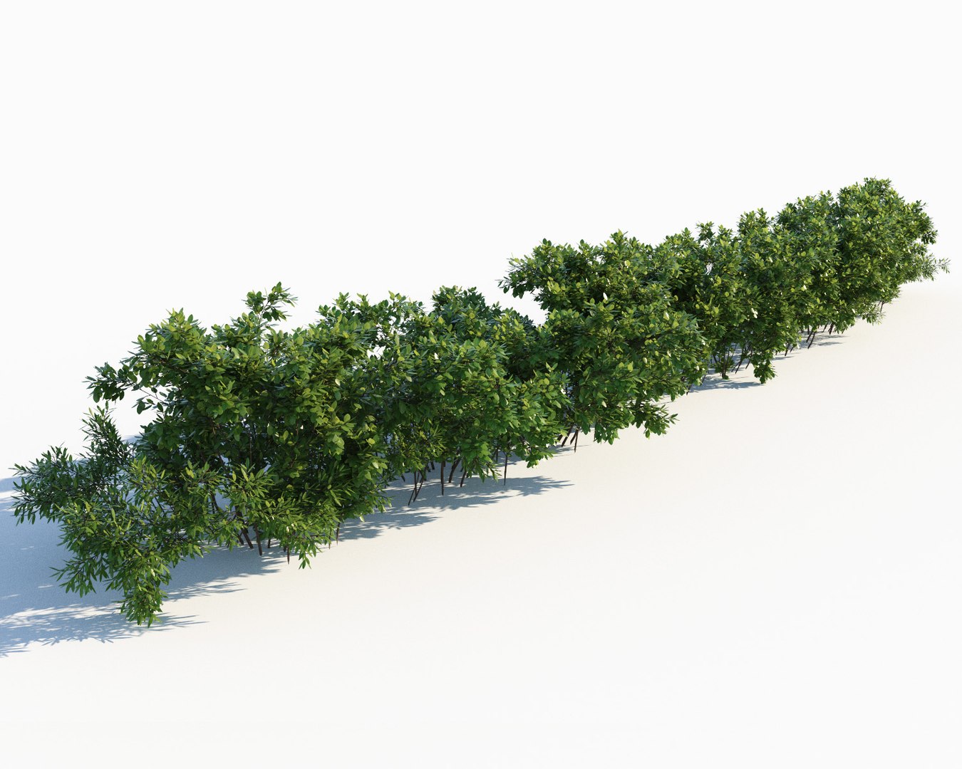 3d Model Cluster Bushes