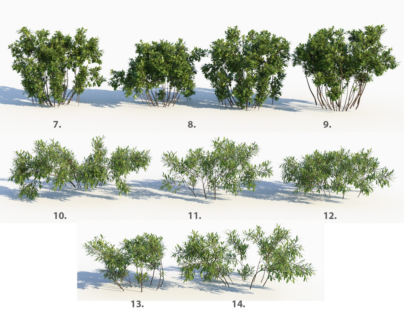 3d Model Cluster Bushes