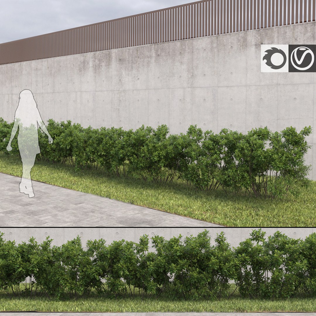 3d Model Cluster Bushes