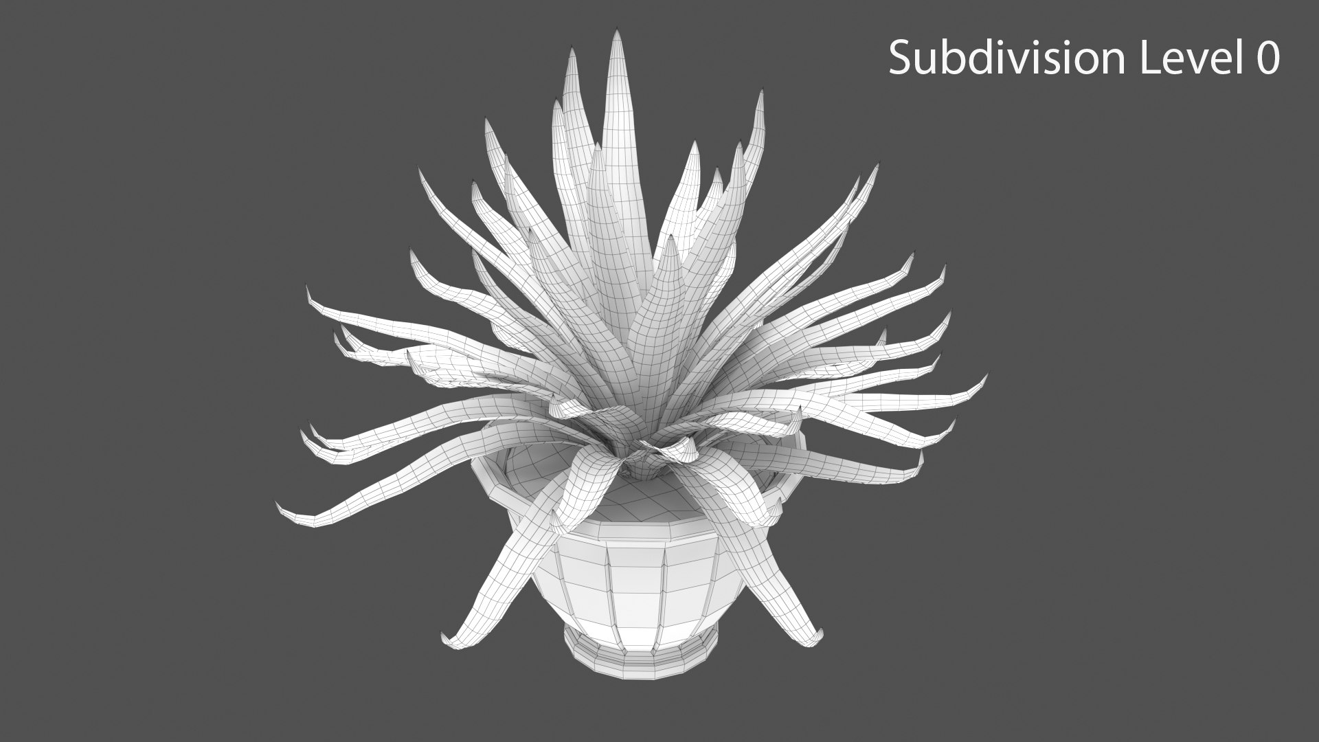 Free Agave Model - TurboSquid 2358897