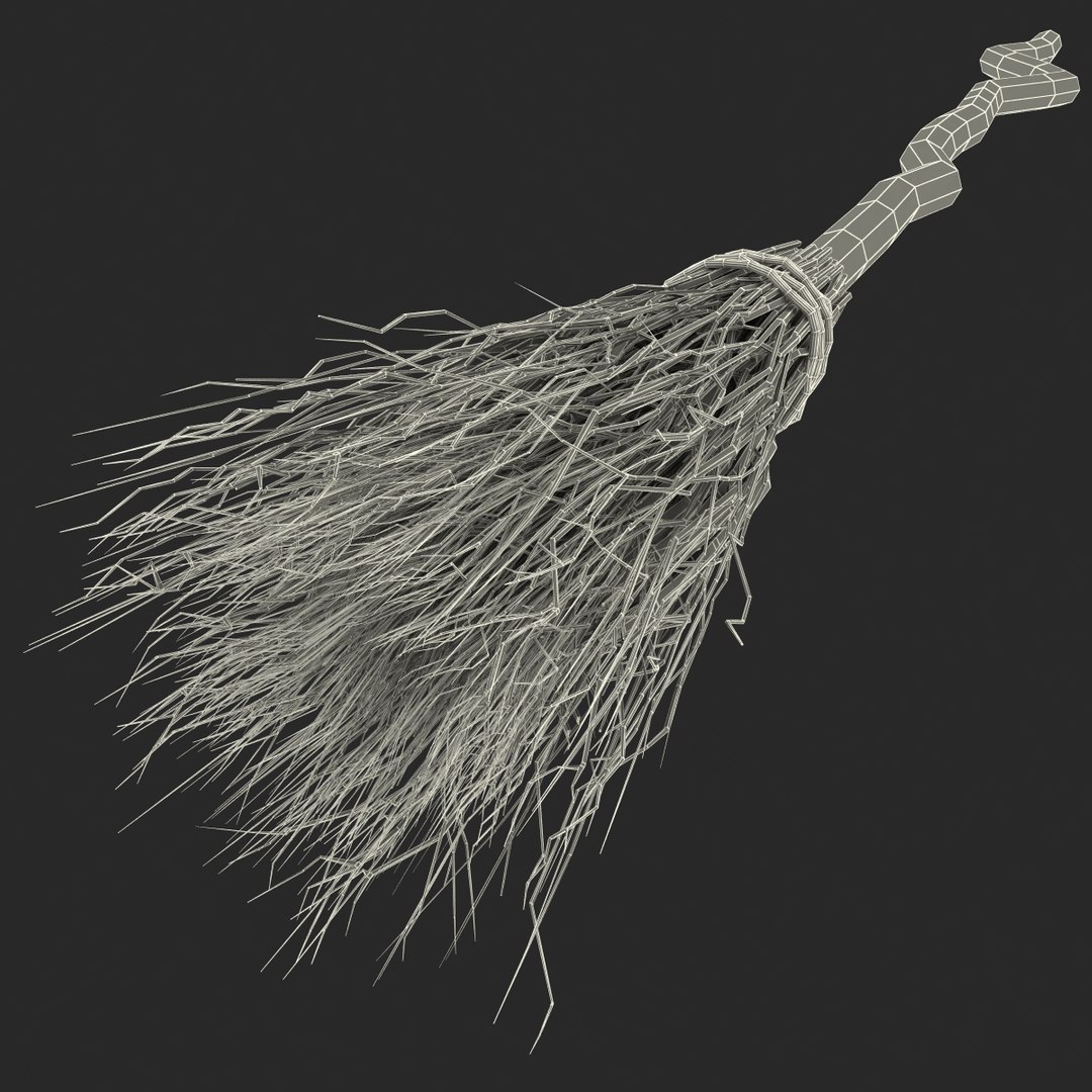 Witch Broom 3d Model
