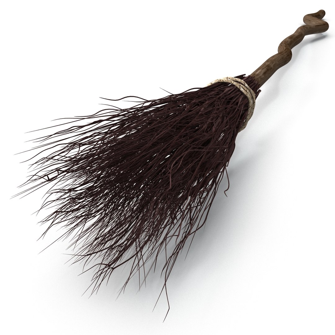 Witch Broom 3d Model