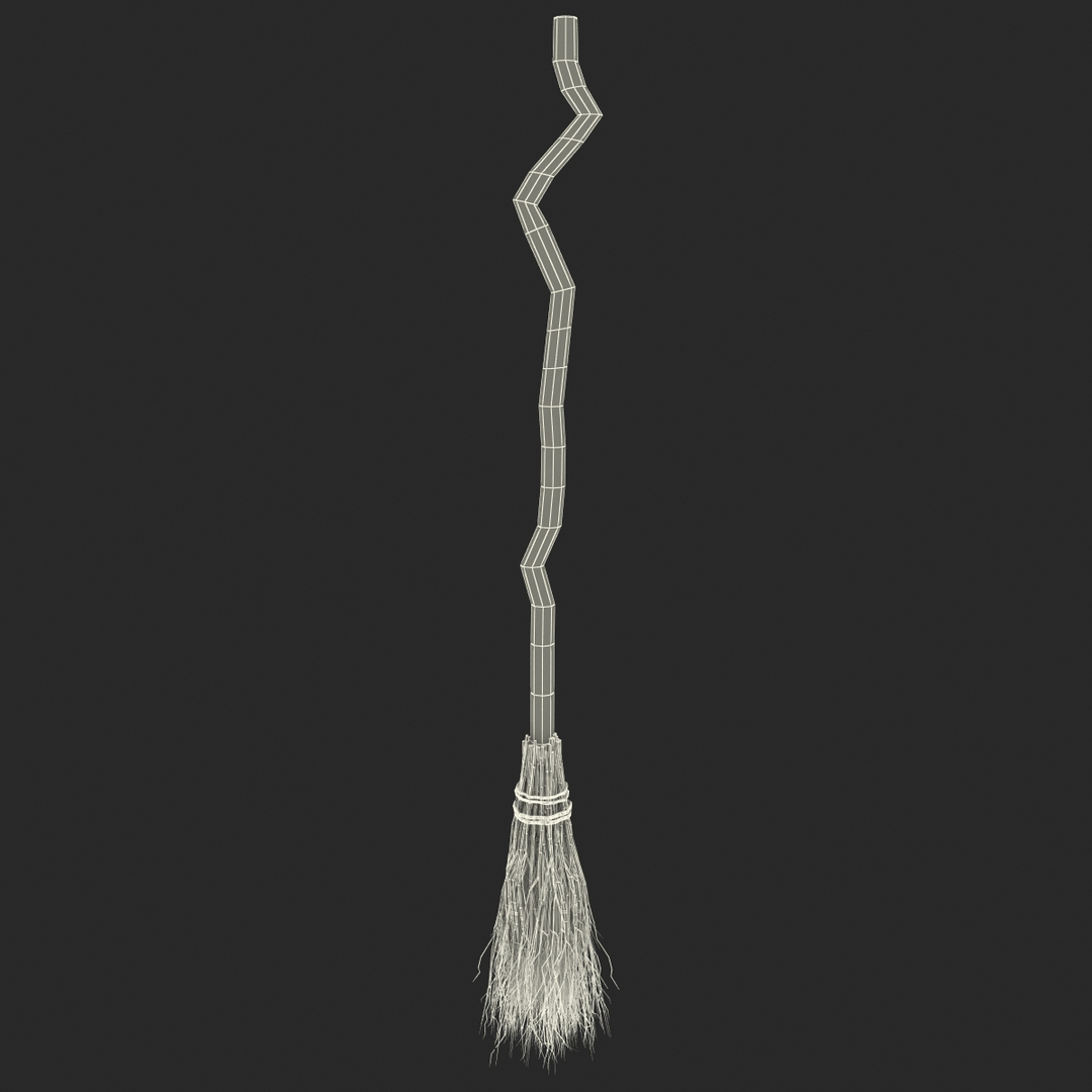 Witch Broom 3d Model