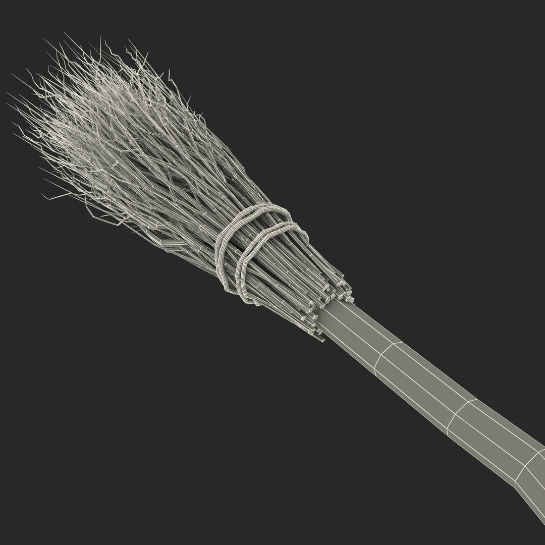Witch Broom 3d Model