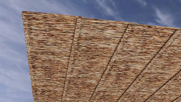 Thatched roof 3D - TurboSquid 1673543