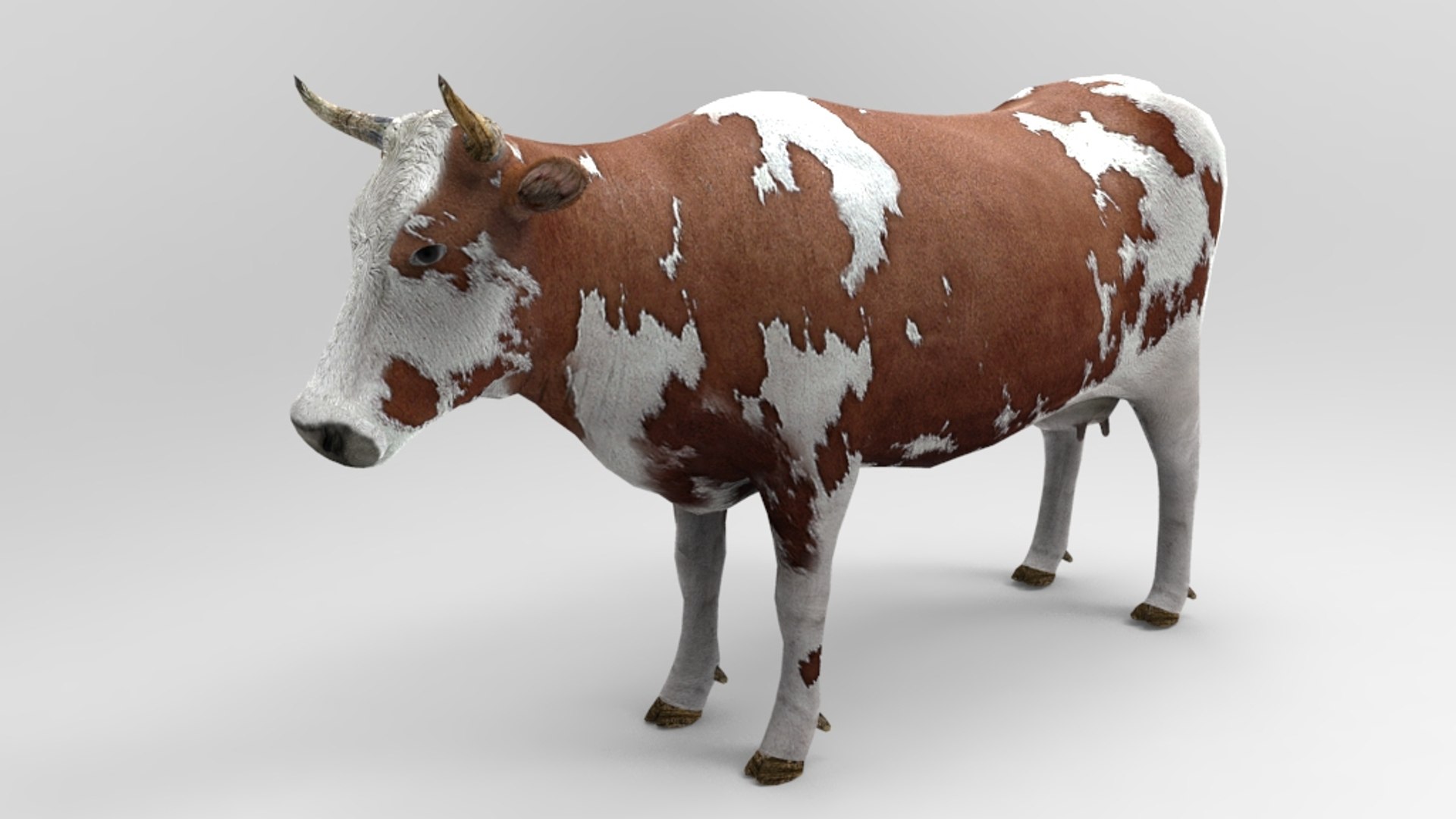 Product Mesh Animation S