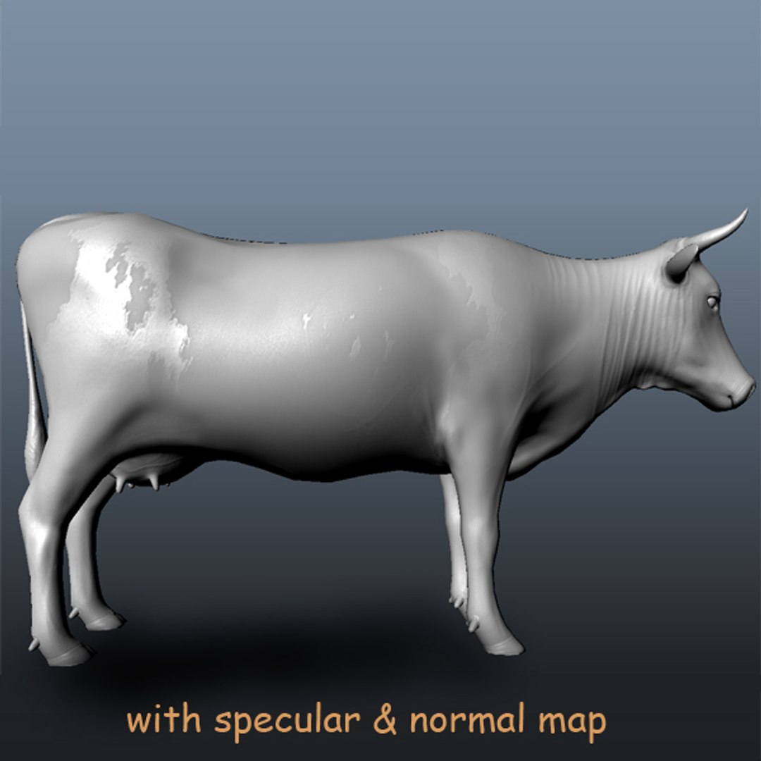 Product Mesh Animation S