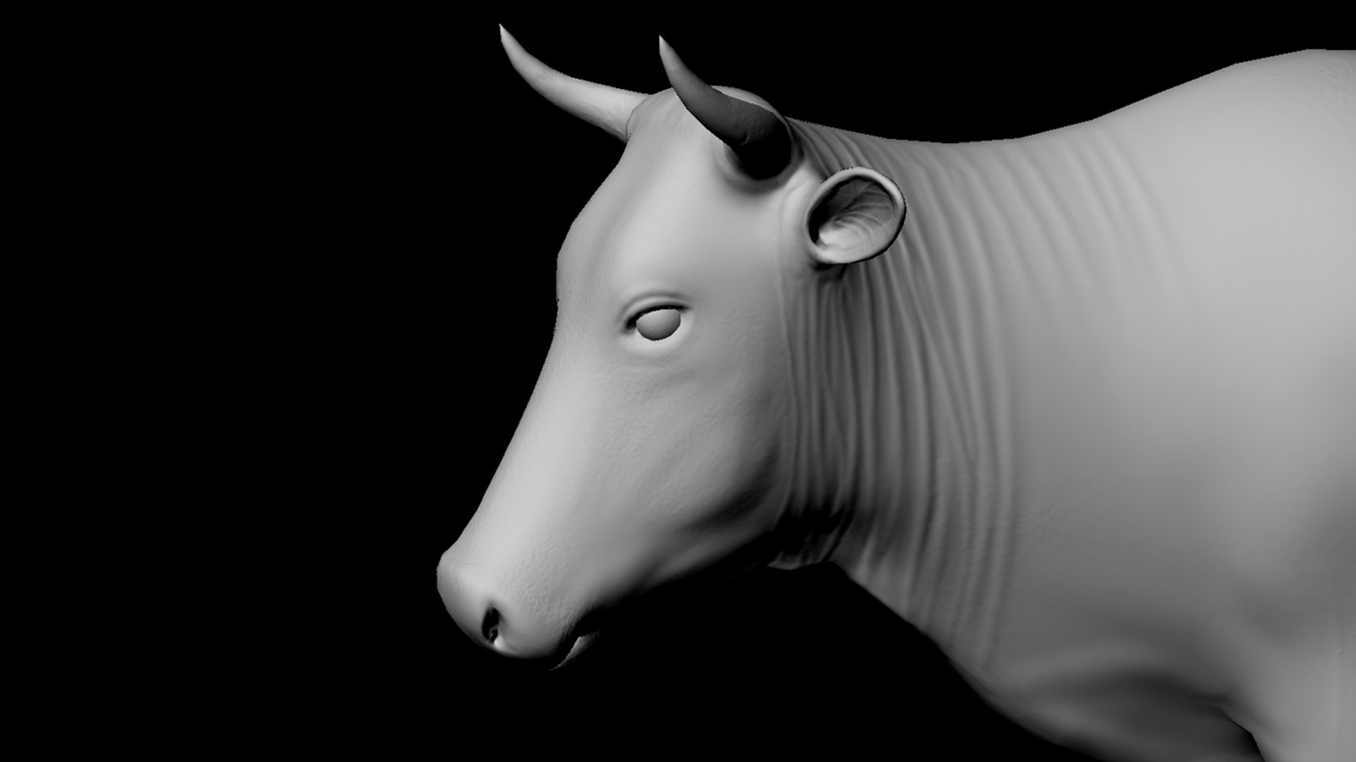 Product Mesh Animation S